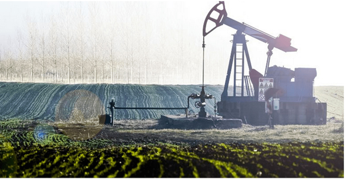 Who Produces the Cleanest Oil in the World? - Ottawa Times